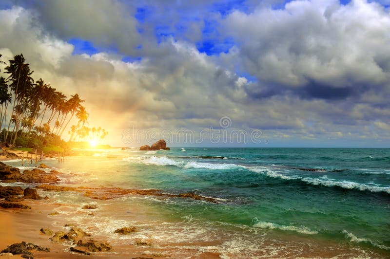Ocean, Sunrise and Tropical Palm Trees on the Shore Stock Photo - Image ...