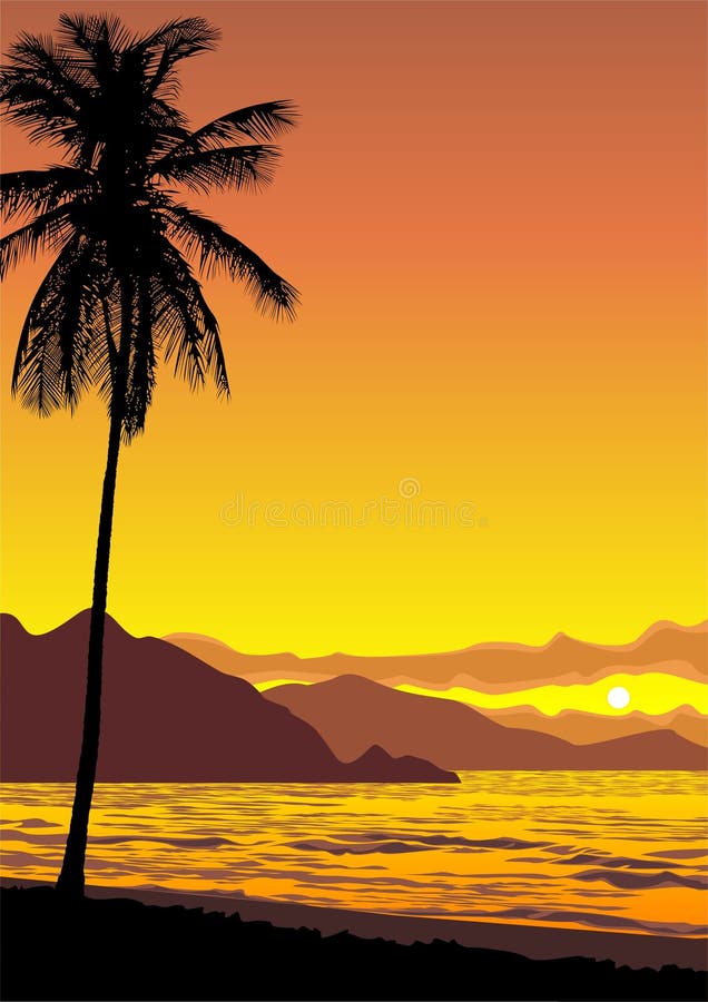 Palm Trees with Sunset, Sunrise. Stock Vector - Illustration of ...