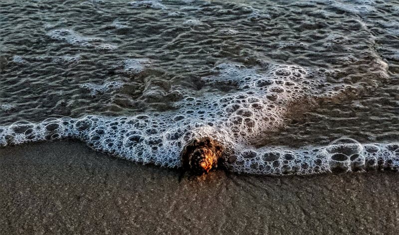 Eternal Lullaby Stock Photos - Free & Royalty-Free Stock Photos from ...