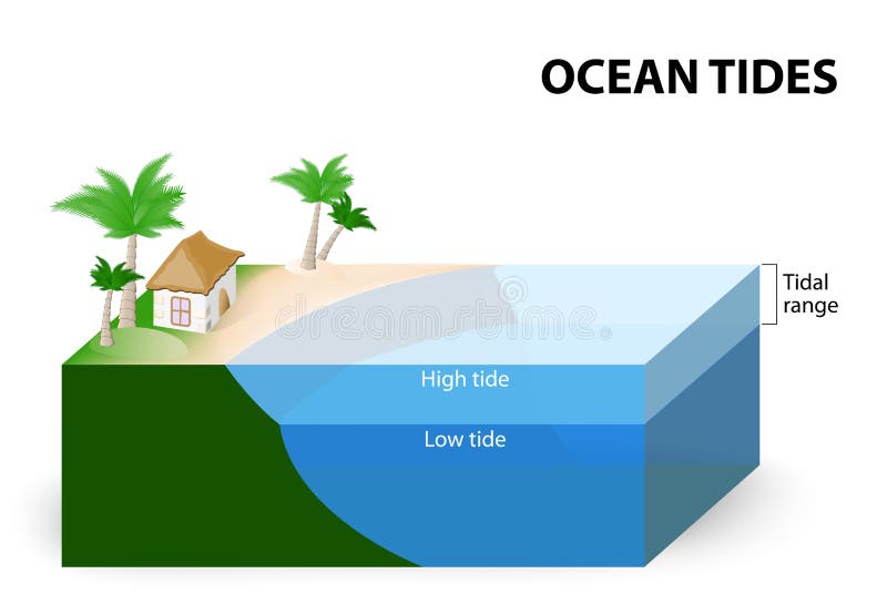 Infographic Ocean Stock Illustrations – 13,655 Infographic Ocean Stock ...