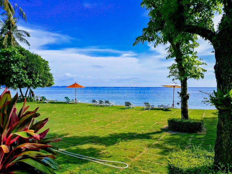 Ocean tropical vibes stock photo. Image of nature, tree - 259410546