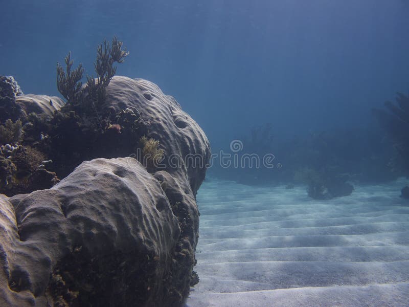 Ocean valley stock image. Image of crevice, mexico, coral - 21850395