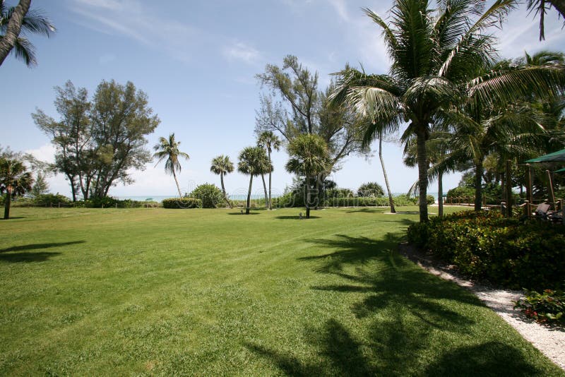 Grassy Ocean View stock photo. Image of barbados, lawn - 777120
