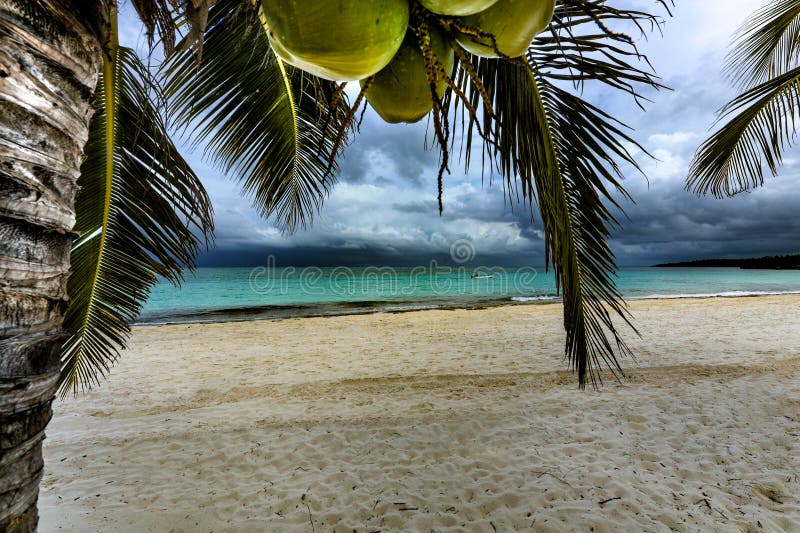 Ocean view stock photo. Image of outdoor, caribbean - 109677976