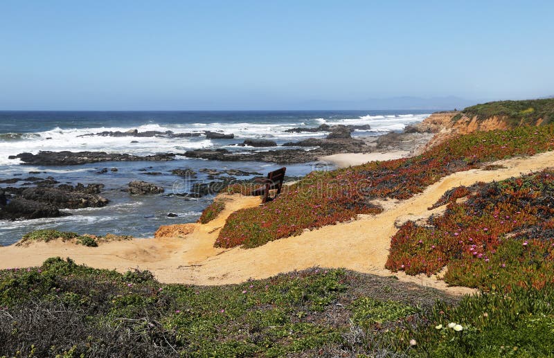 Ocean view stock photo. Image of blue, horizon, flora - 52815754