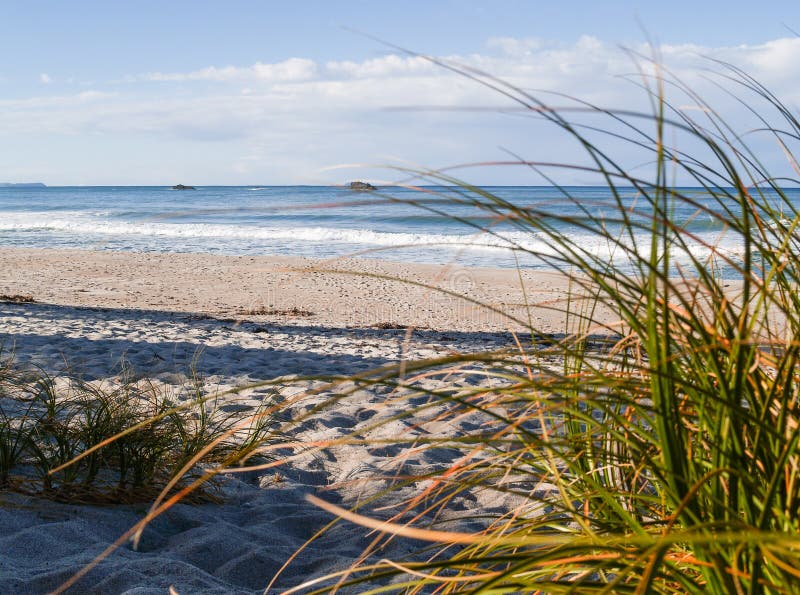 Ocean-view Beyond Marram Grass on Beach Stock Photo - Image of ...