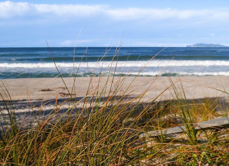 Ocean-view Beyond Marram Grass on Beach Stock Image - Image of beach ...