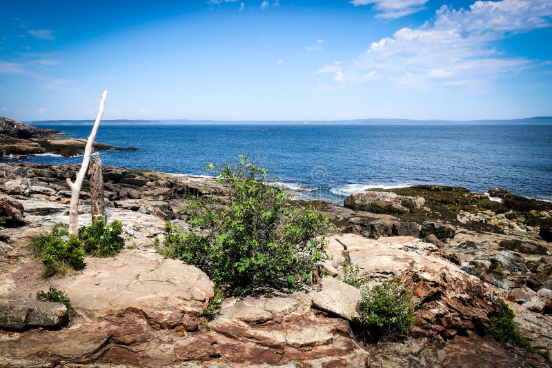 Ocean View from Cliff in Acadia National Park Stock Photo - Image of ...