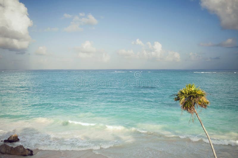 Ocean view stock image. Image of coast, mexican, maya - 92491011