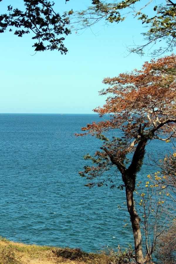 Ocean View stock photo. Image of blue, sunlight, rural - 38134428