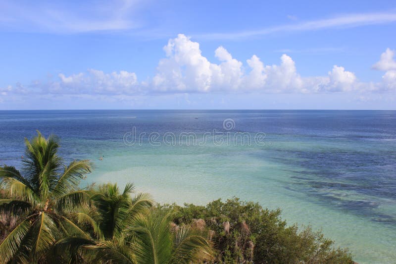 Ocean view in Florida stock photo. Image of travel, morning - 58642892