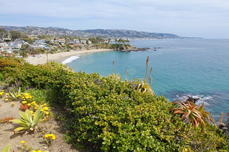 Ocean view. Laguna Beach stock photo. Image of bushes - 40510180