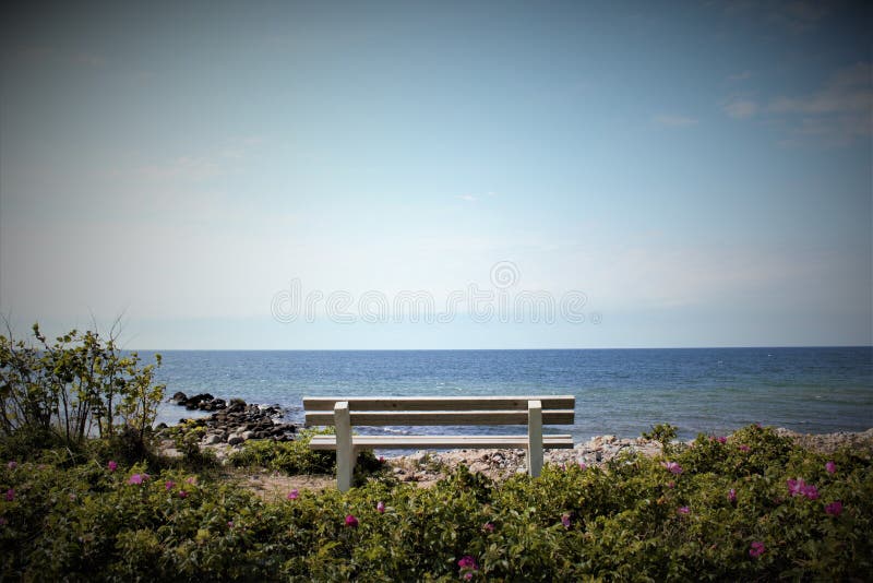 Ocean View with a Park Bench Stock Image - Image of flowers, ocean ...