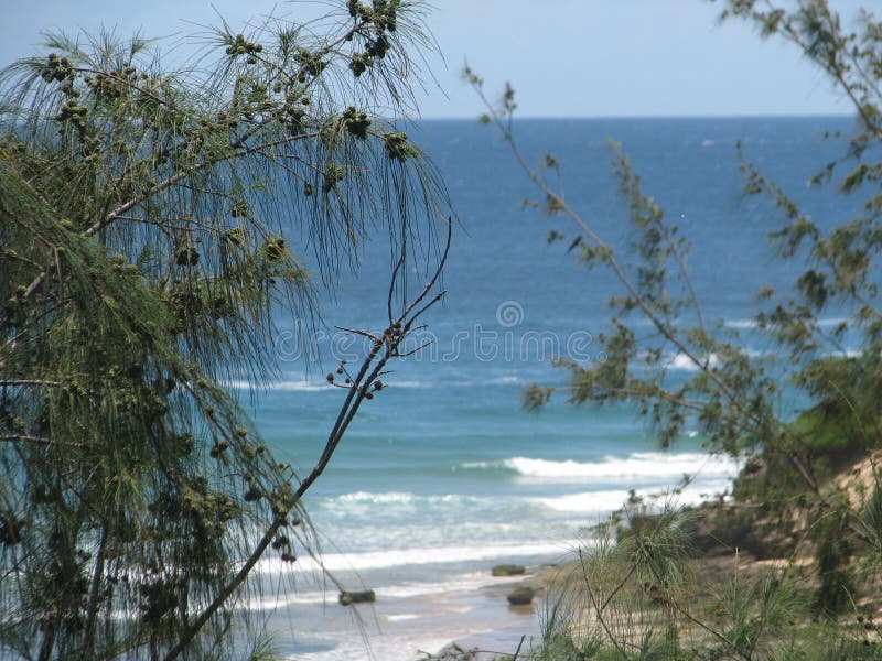 Ocean stock image. Image of travel, water, trees, ocean - 78257857