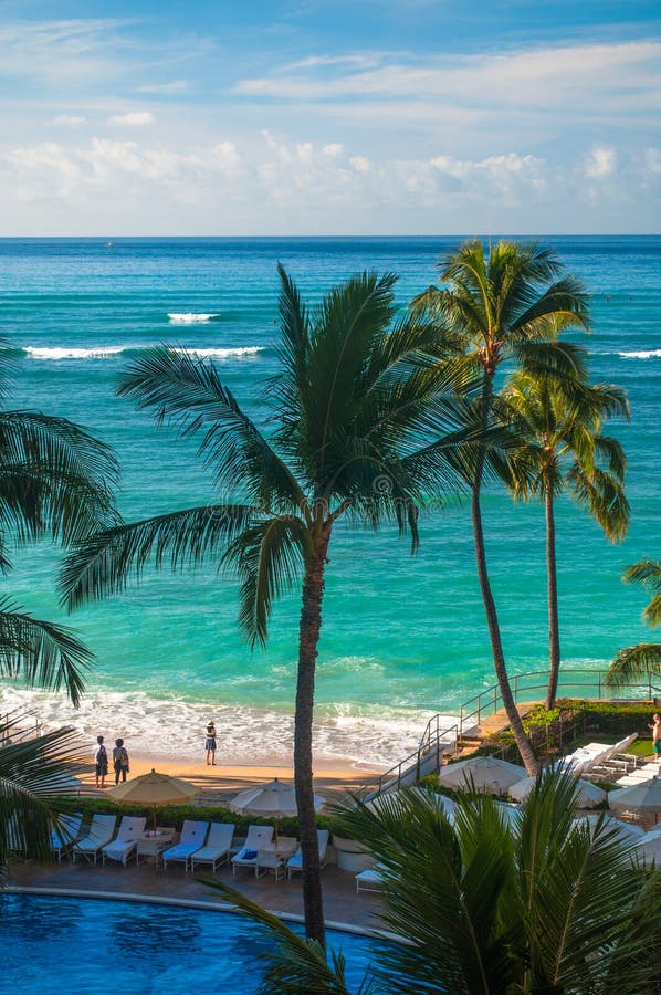 Ocean View with Palm Trees in Oahu, Hawaii Stock Image - Image of ...