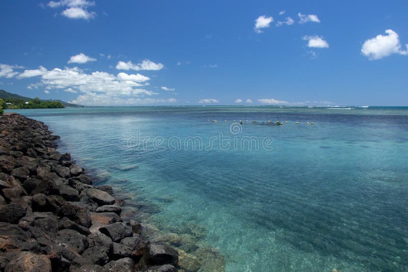 Tropical Ocean View in Samoa Stock Photo - Image of palm, lagoon: 229710610