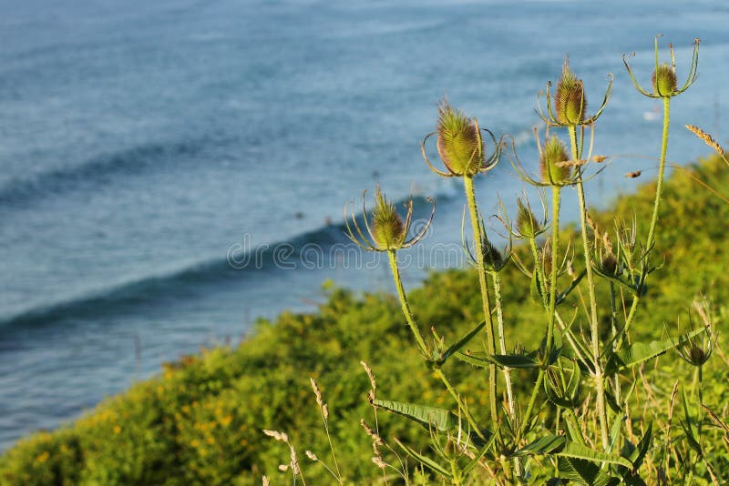 Ocean View from Shore Bay of Biscay. Stock Photo - Image of europa ...