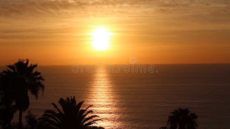 Top View of Sunset Reflection in Windows of Business High-rise. Stock ...
