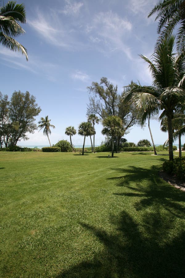 Ocean View stock image. Image of blue, oats, lanai, coast - 1481037