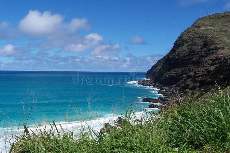 Ocean Views Picture. Image: 1257883