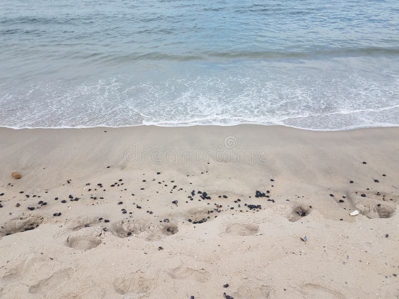 Wet Sand with Shells and Rocks at Beach or Coast Stock Image - Image of ...