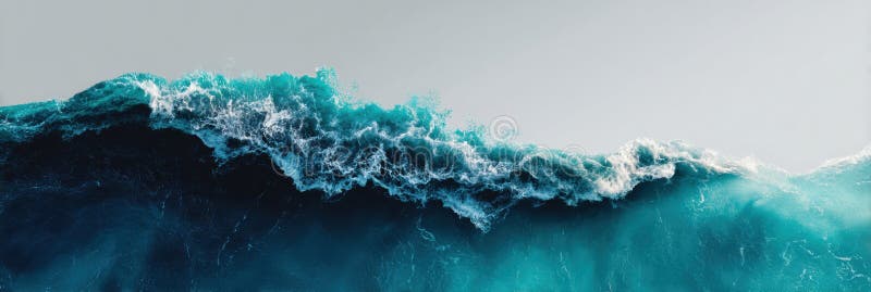 Ocean Wave Illustration Blending into a Peaceful Solid Banner Zone with ...