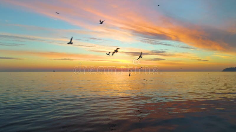 Ocean Waves and Beautiful Sunrise Over the Ripple Water Stock Video ...