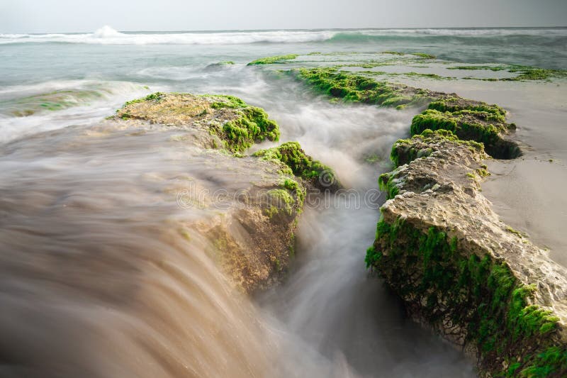 Ocean Waves Gently Flow Over Moss Covered Rocks Stock Photos - Free ...