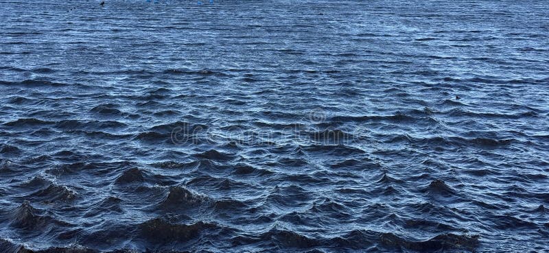 Ocean Waves Water with Bird Species in the Distance Stock Photo - Image ...