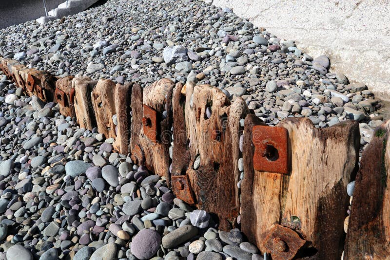 Ocean weathered timber stock photo. Image of seashore - 243952464