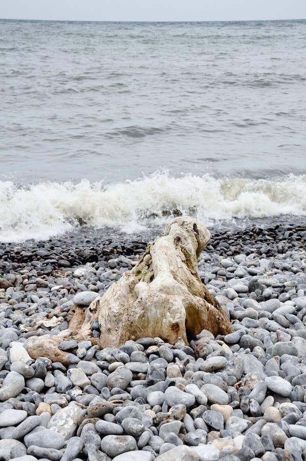 Ocean wood stock image. Image of ocean, beach, wood, shore - 30375751