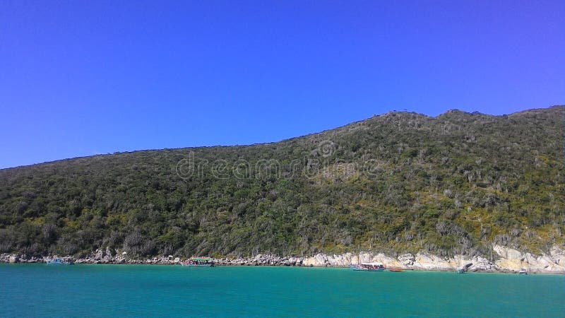 Ocean , woods and sky stock photo. Image of blue, woods - 131259900