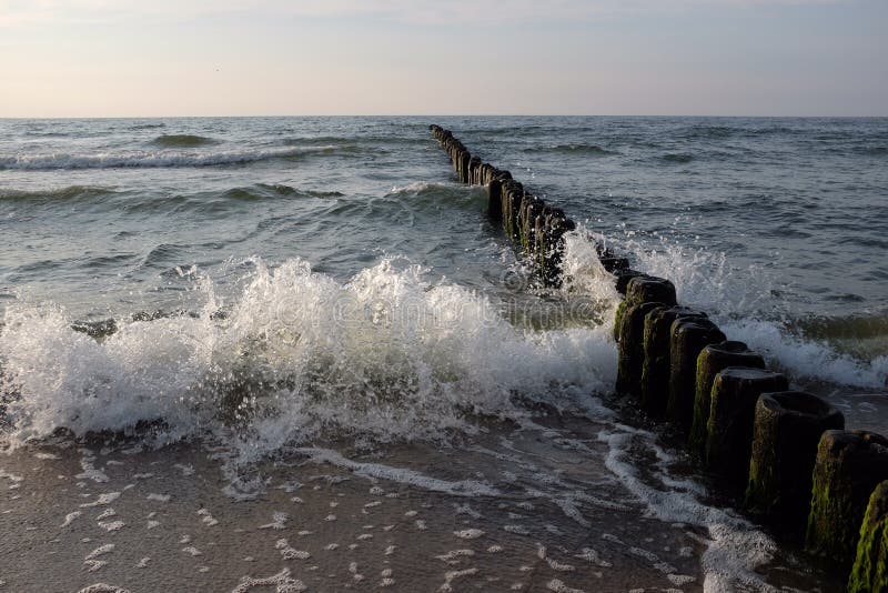 Ocean stock photo. Image of woods, waves, beach, ocean - 164278834