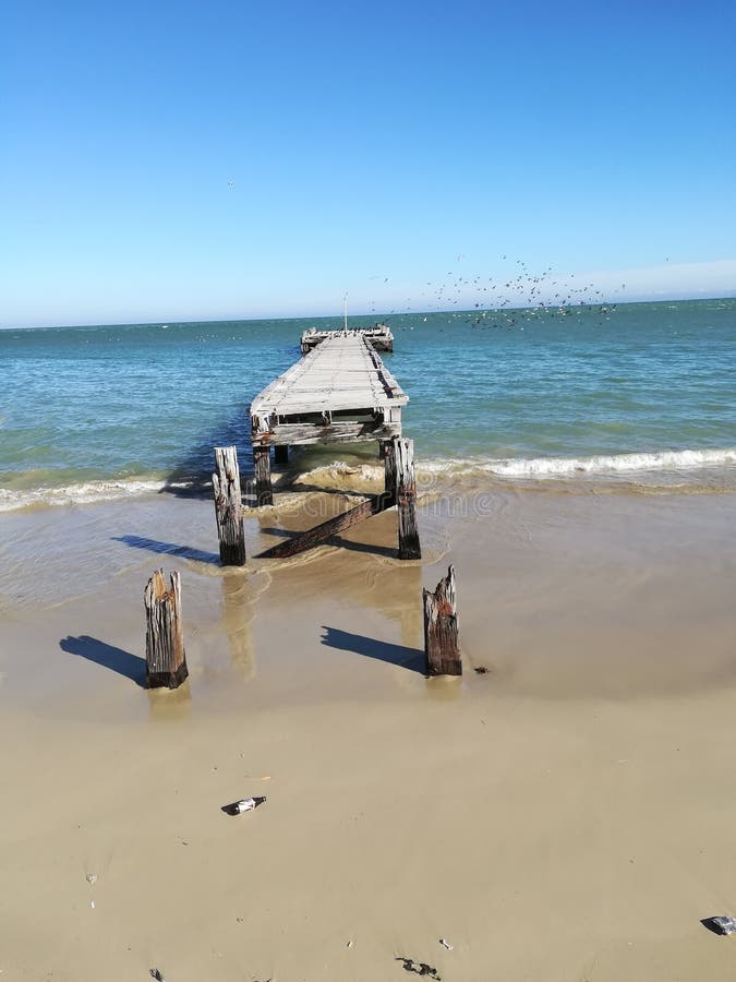 Ocean yeti stock photo. Image of sand, ocean, boating - 183554234