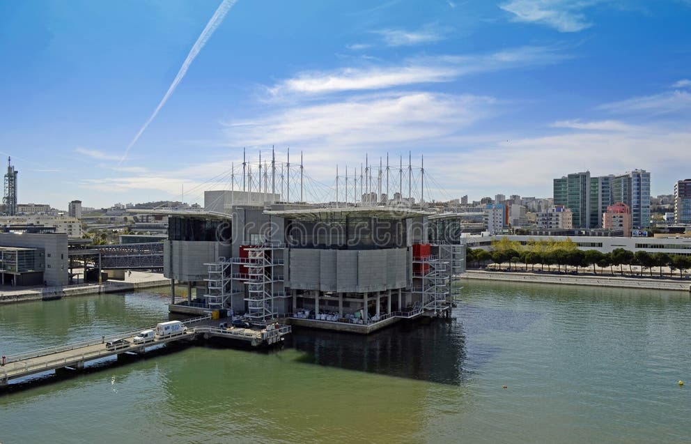 Oceanarium stock photo. Image of blue, environment, biggest - 24535934