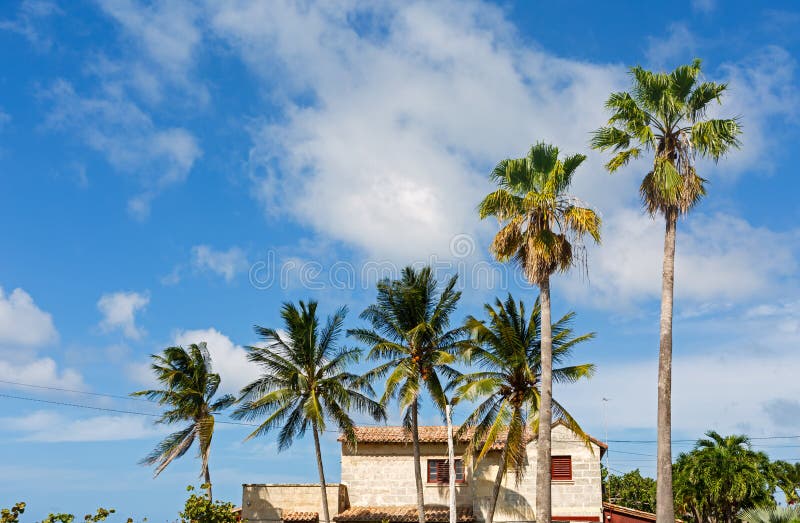 Oceanfront Beach House in Cuba with Palm Trees Stock Image - Image of ...