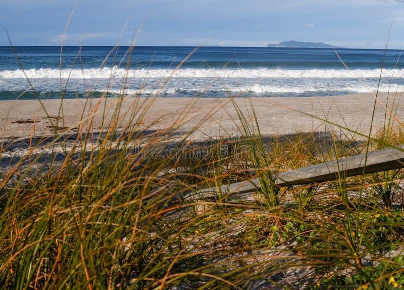 Ocean-view Beyond Marram Grass on Beach Stock Photo - Image of seascape ...