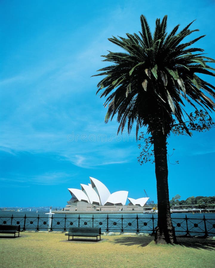 Oceania editorial stock image. Image of white, grass - 81588309