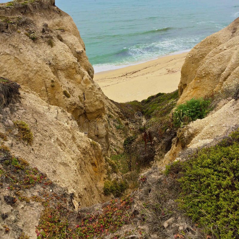 86,928 Fotos de Stock de Ravina - Fotos de Stock Gratuitas e Sem ...