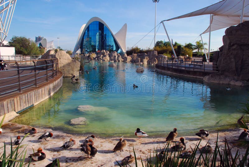 Oceanografic à Valence, Espagne Photographie éditorial - Image du ...
