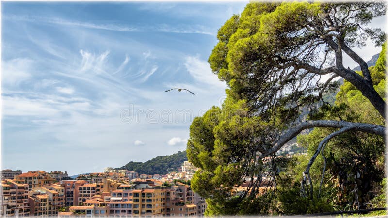 Panoramic views in Monaco stock photo. Image of hermitage - 244615268