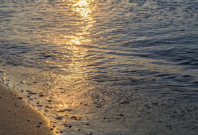 Oceanside Path To a Tropical Beach Stock Image - Image of waves, miami ...
