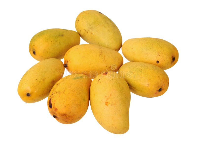 Ocho mangos foto de archivo. Imagen de mango, desayuno - 32391460