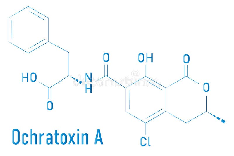 Ochratoxin a Mycotoxin Molecule. Skeletal Formula Stock Vector ...