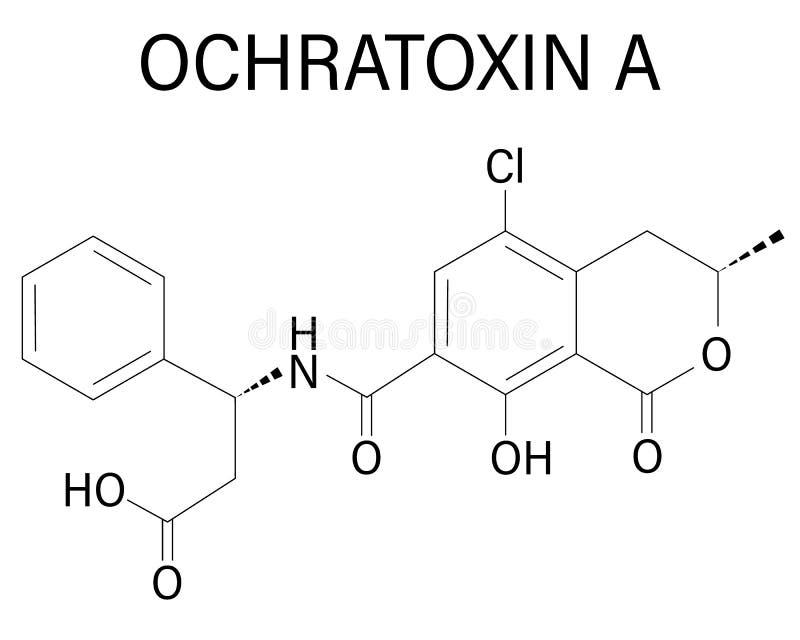Ochratoxin a Mycotoxin Molecule. Skeletal Formula Stock Vector ...
