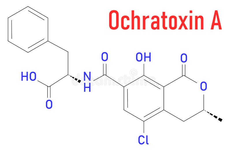 Ochratoxin a Mycotoxin Molecule. Skeletal Formula Stock Vector ...