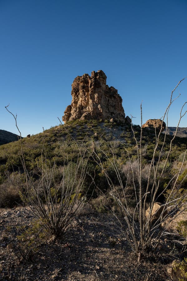 Ocotillo Plants in Front of the Chimneys Stock Image - Image of ...