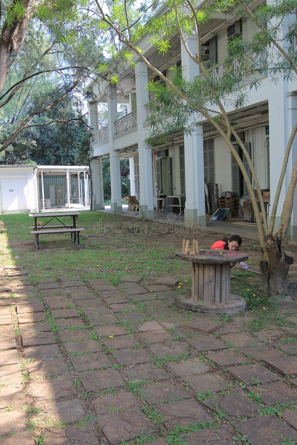 5 Oct 2013 the Campus of Academy of Visual Arts Editorial Photography ...