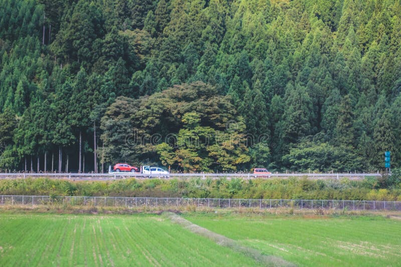 30 Oct 2013 the Landscape of Countryside, Japan. View at Train ...