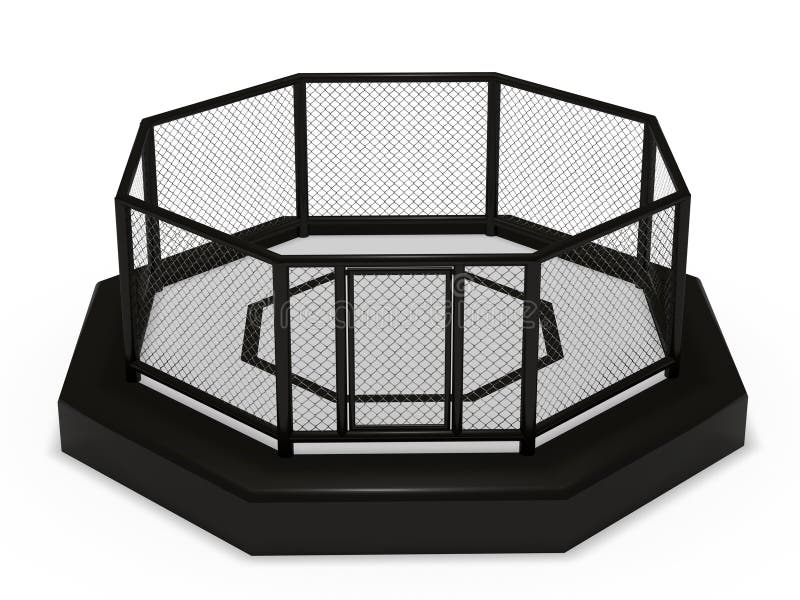 Octagon cage front view stock illustration. Illustration of full - 79681600
